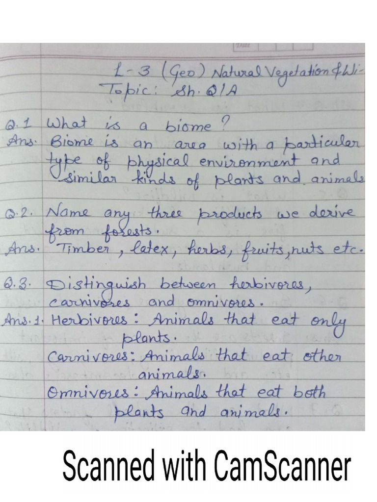 SST Lesson 3 Class 8th | PDF SST Lesson 3 Class 8th | PDF