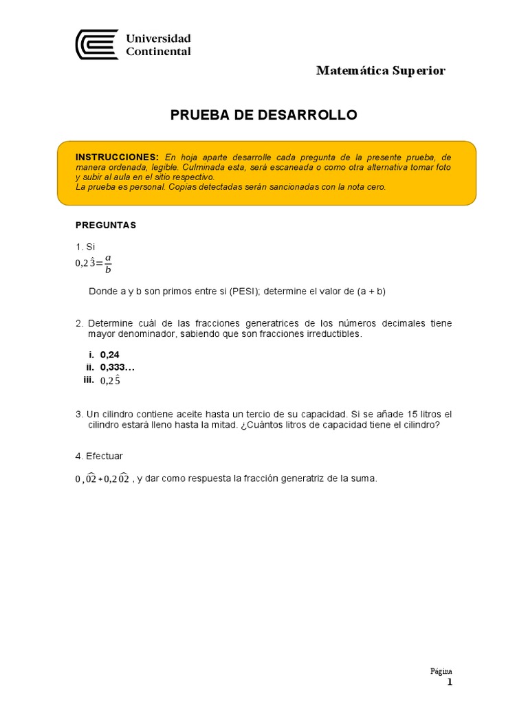 Prueba de Desarrollo - 1ra Unidad | PDF