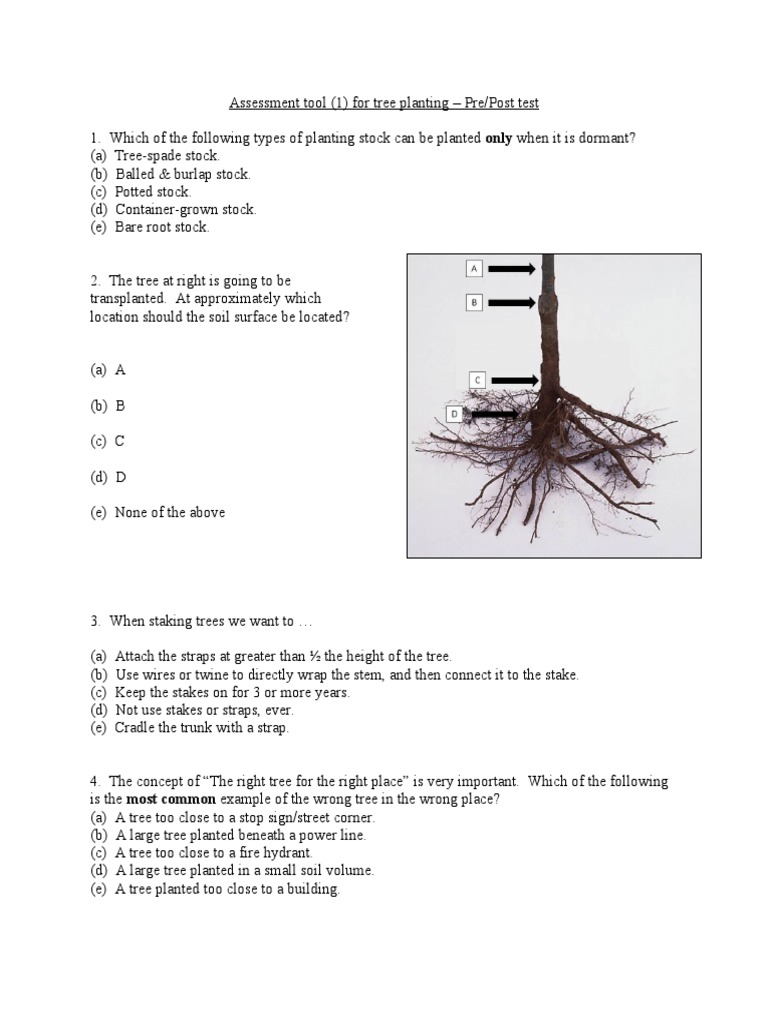 Tree-planting - Assessment tool | PDF | Trees | Weed