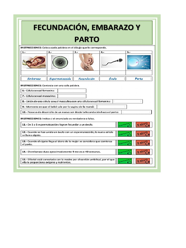 Fecundacion, Embarazo y Parto | PDF
