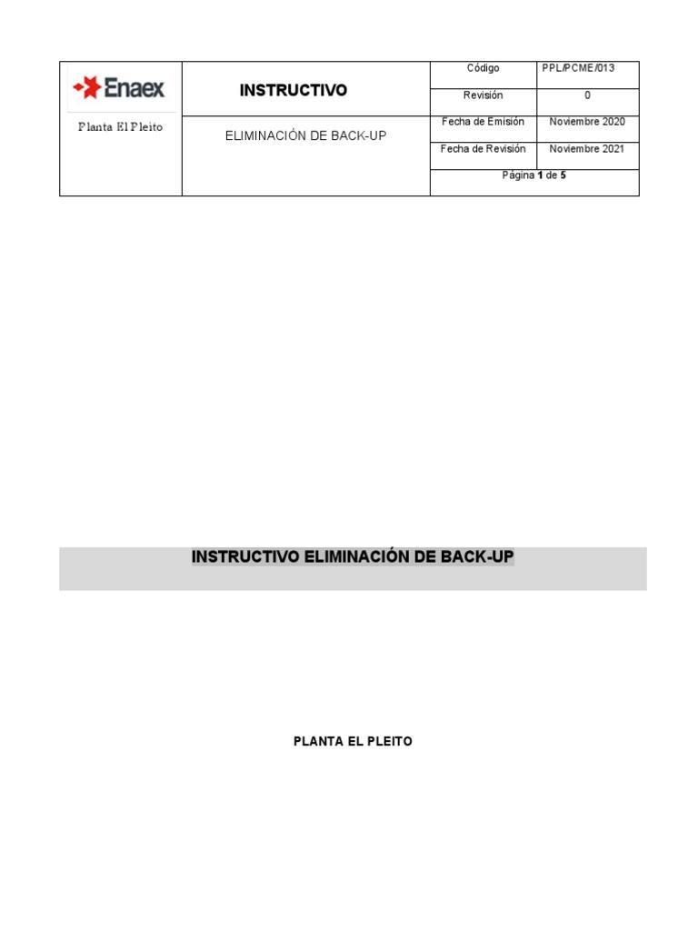 Instructivo Eliminación Back-Up | PDF