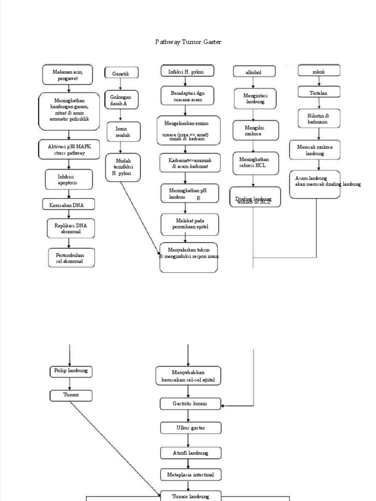 PDF Woc Tumor Gaster | PDF
