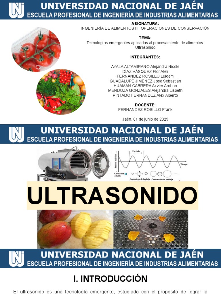 ULTRASONIDO | PDF | Alimentos | Ultrasonido