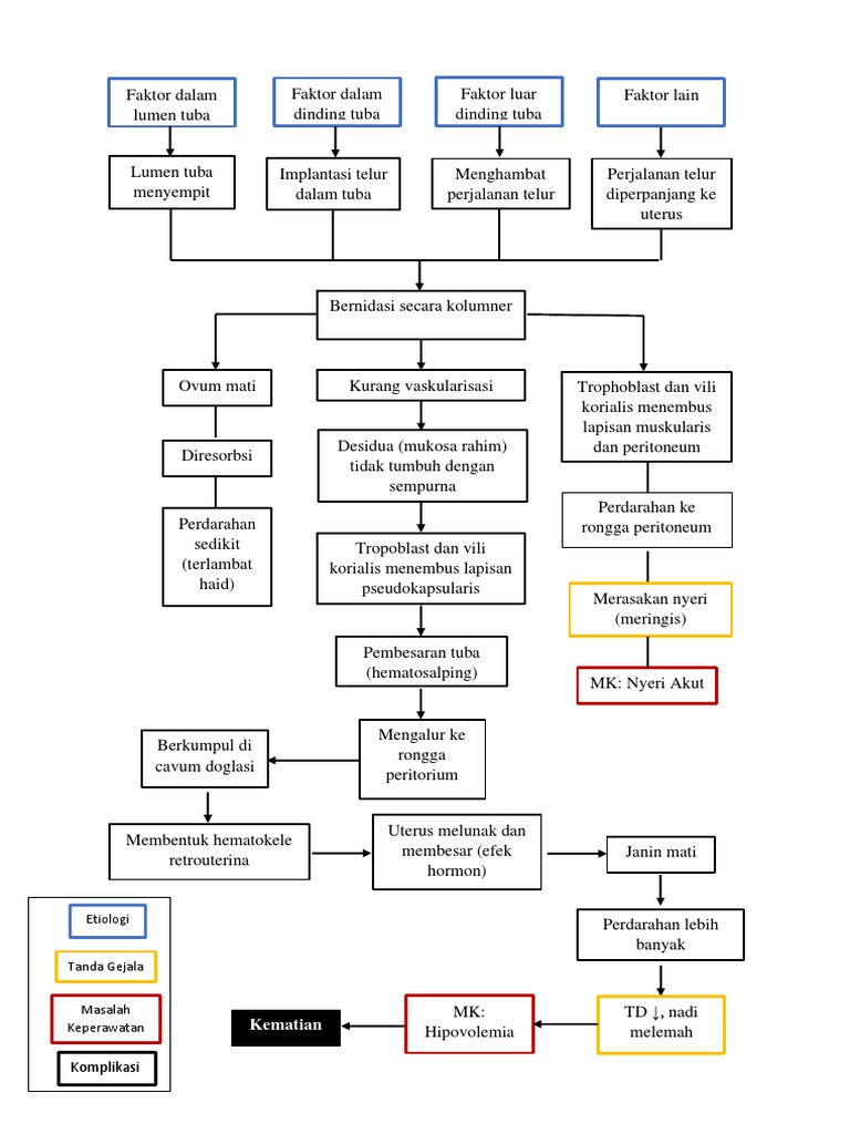 Patoflow Kehamilan Etopik | PDF