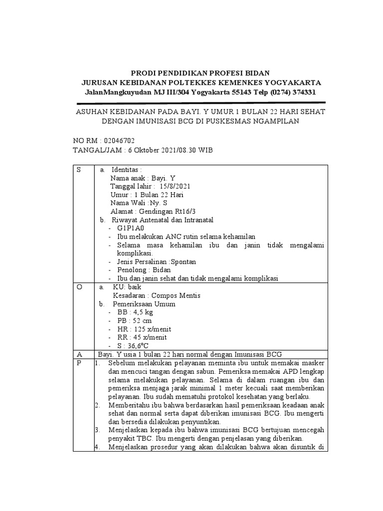 Imunisasi Bcg Erlin Pdf