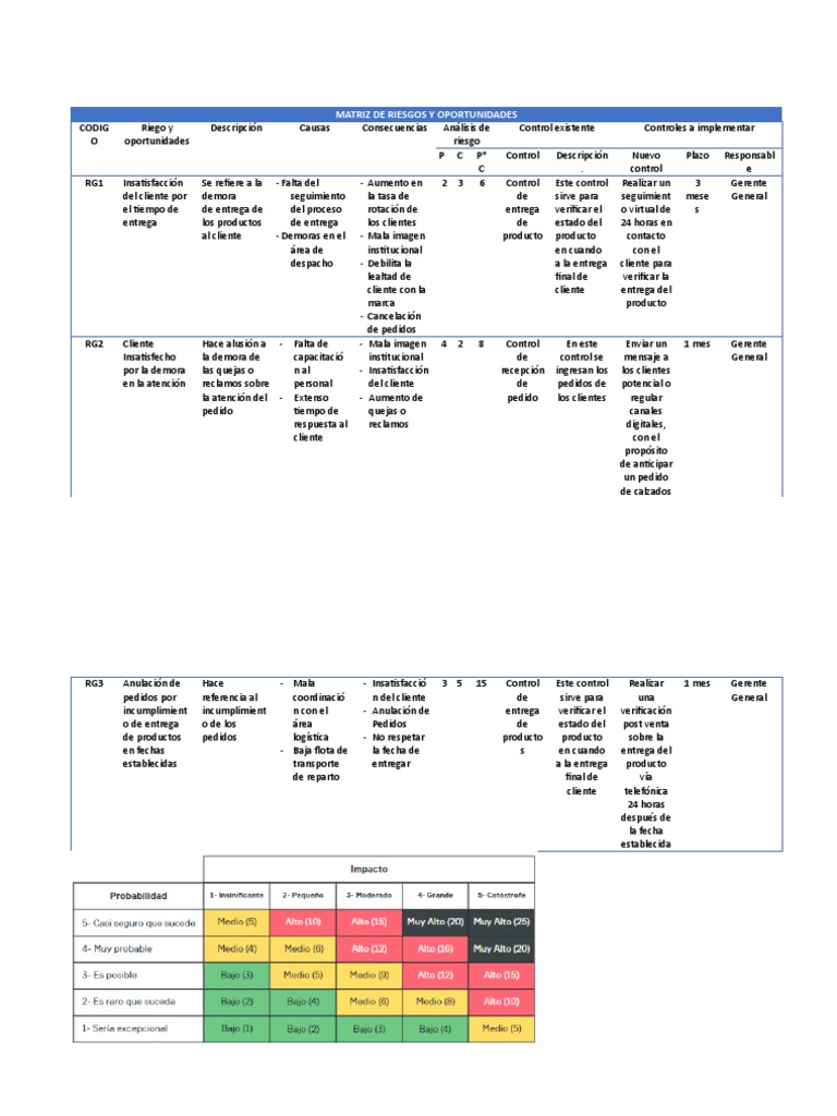 Matriz de Riesgos y Oportunidades | PDF