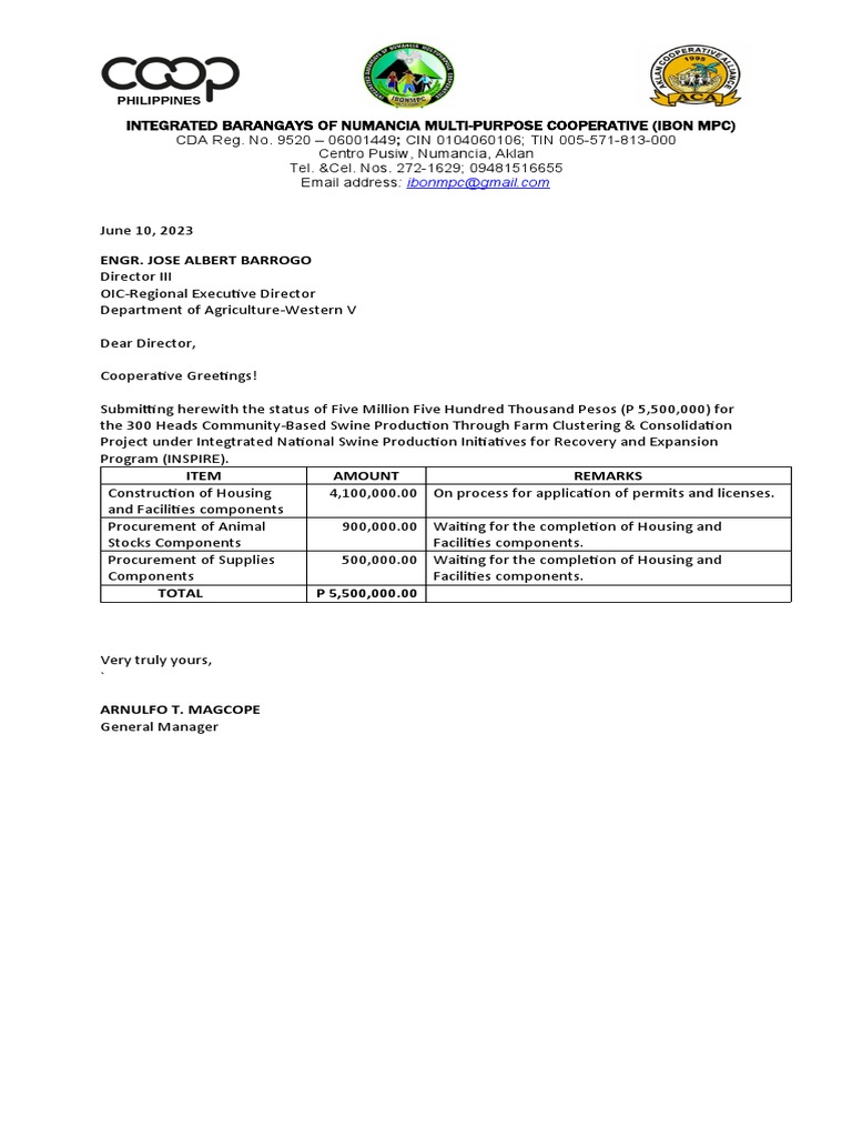 status report | PDF