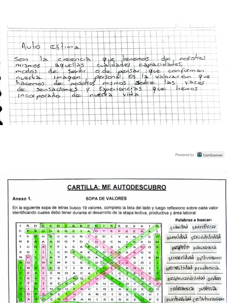 Autoestima | PDF