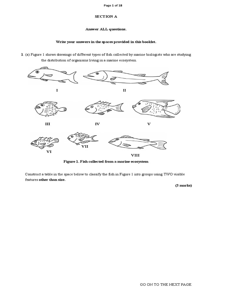 CSEC Biology Paper 2 Mock Exam 2023 - 230503 - 133448 | PDF | Blood ...
