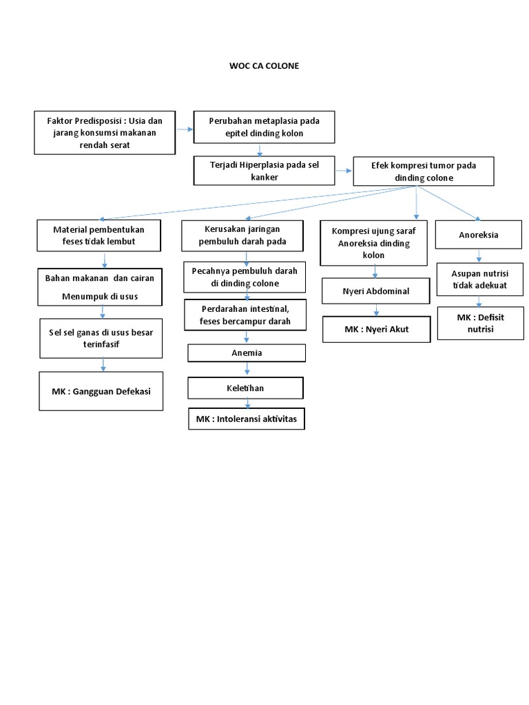 Woc Kanker Kolon | PDF