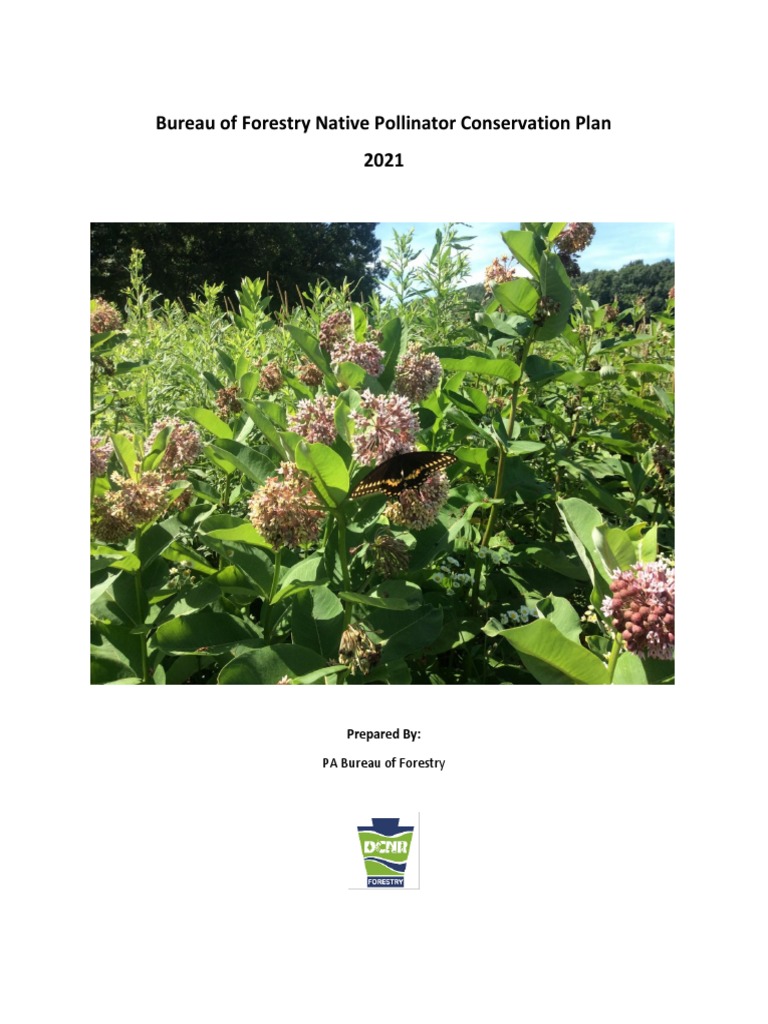 Pollinator Conservation Plan 2021 | PDF