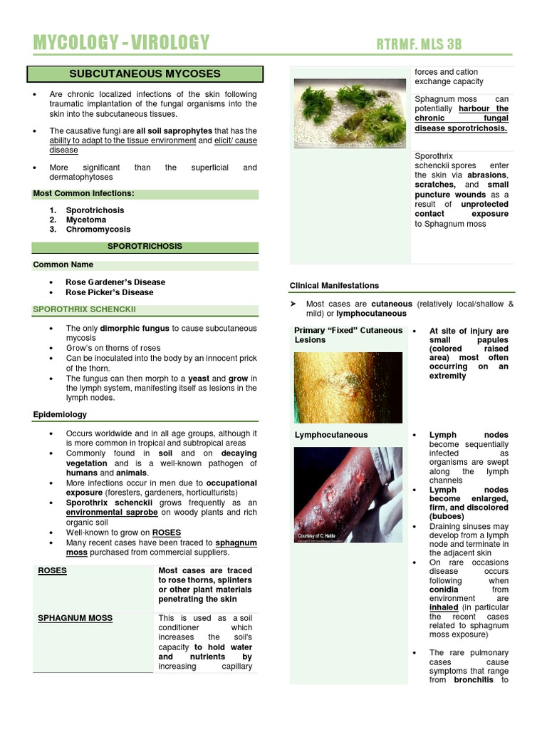 5 Subcutaneous-Mycoses | PDF | Fungus | Mycology