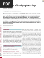 Cat FAS and Frustration Management Guide | PDF