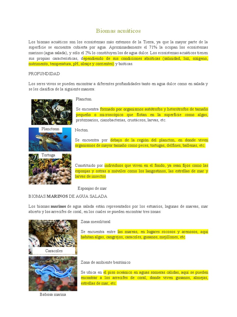 Lectura - Biomas Acuáticos | PDF | Mar | Ecosistema acuático