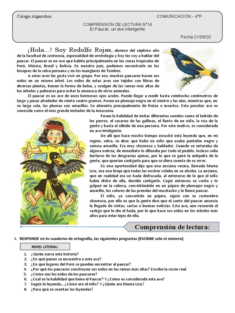 Lect.-14-El-Paucar-Un-Ave-De-Peru | PDF