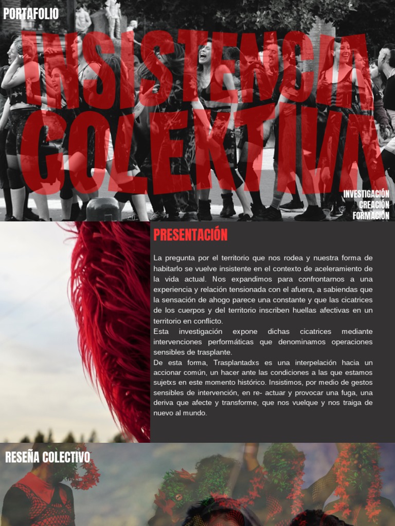 Portafolio Insistencia Colektiva | PDF