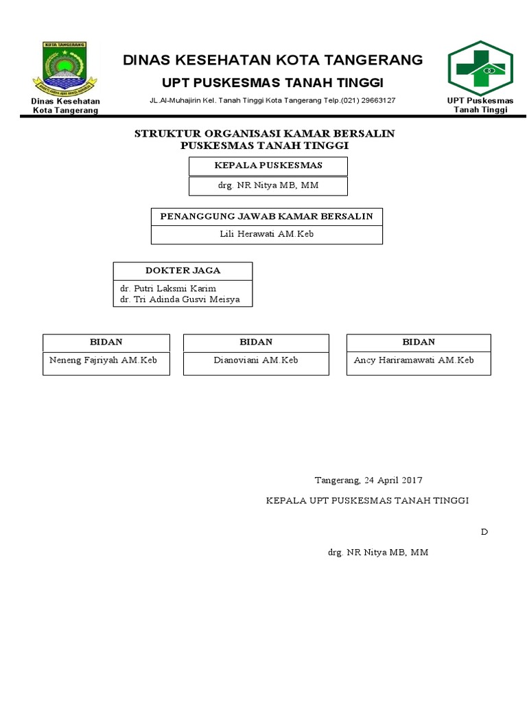 Struktur Organisasi Kamar Bersalin | PDF