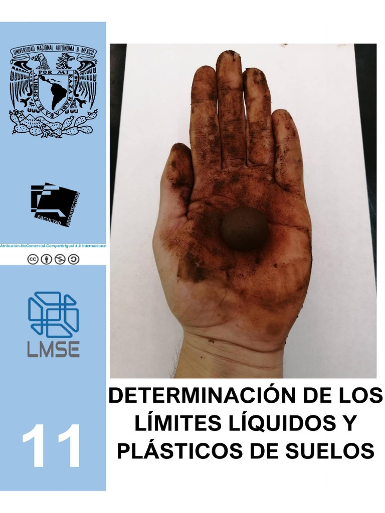 Determinación de Límites Plásticos | PDF