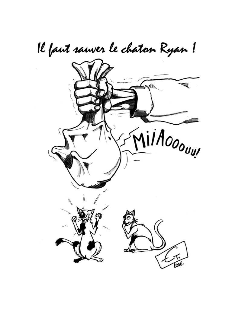 Cats !-Scénario-Il Faut Sauver Le Chaton Ryan | PDF