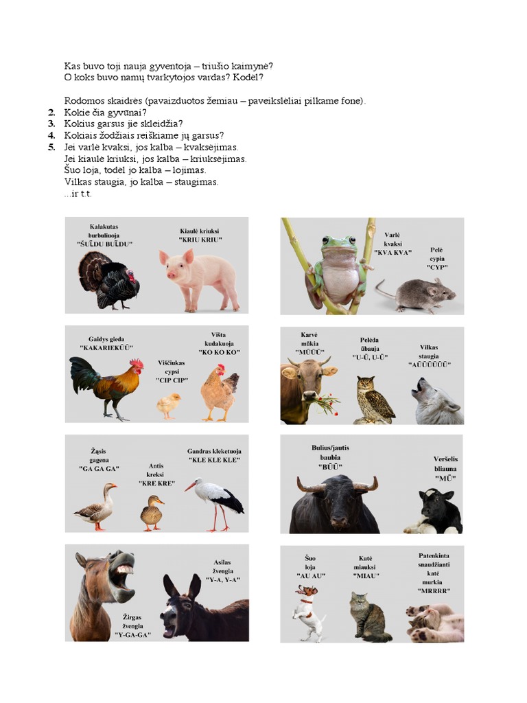 KALBINIŲ GEBĖJIMŲ UGDYMO UŽDUOTYS 5-6 M. VAIKAMS Pagal K.Kasparavičiaus KAIMYNĖ UŽ KAMPO 3 Dalis ...