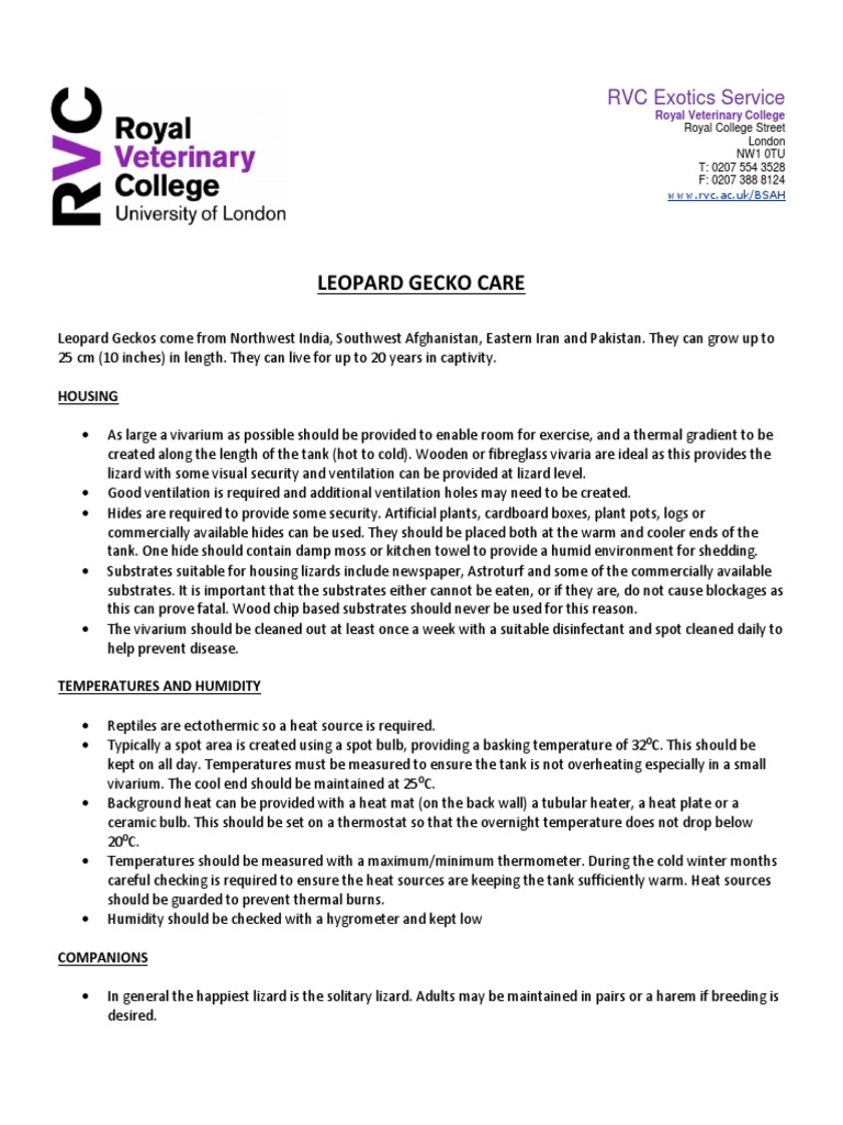 Leopard Gecko Care Guide | PDF | Vivarium