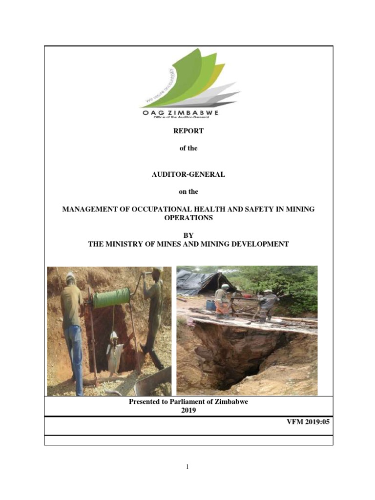 PDF - MMMD Report | PDF