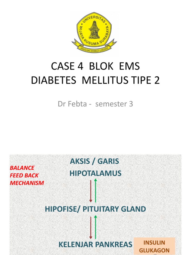 DM Tipe 2 | PDF