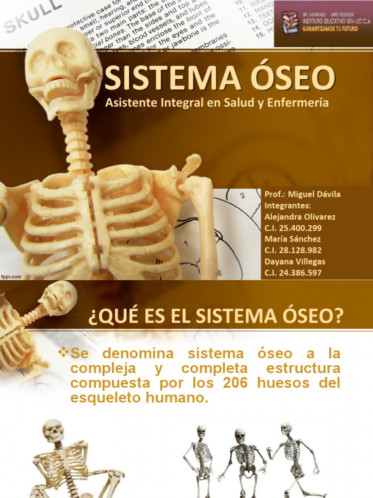 Sistema Oseo | PDF