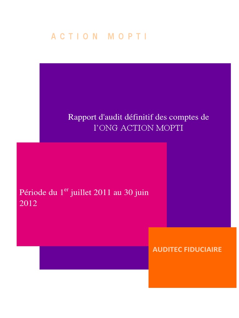 Rapport d'Audit Action Mopti 2012 | PDF | Audit | Comptabilité