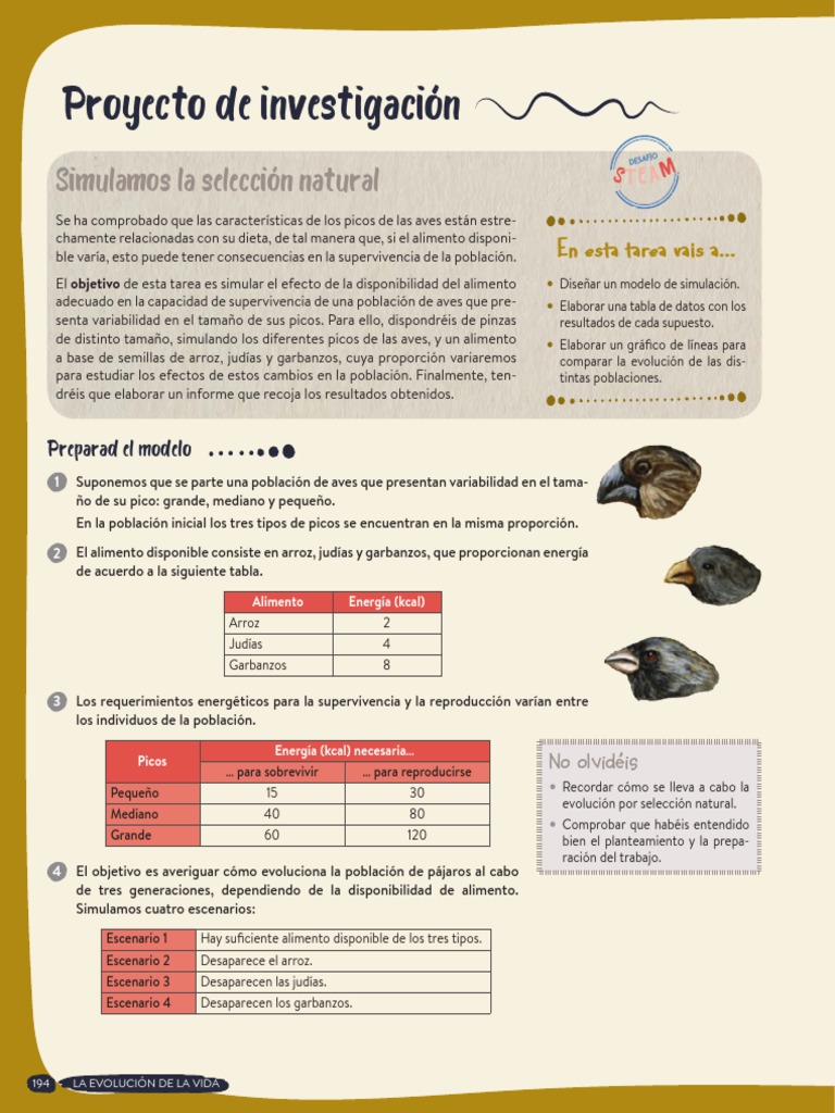 P18. Simulamos La Evolución. Pinzones | PDF