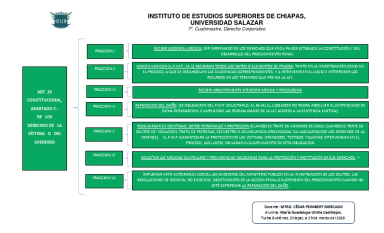 MAPA CONCEPTUAL DERECHOS DE LA VICTIMA U OFENDIDO | PDF | Mandato ...