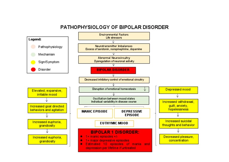 Pathophysiology of Bipolar 1 Disorder | PDF