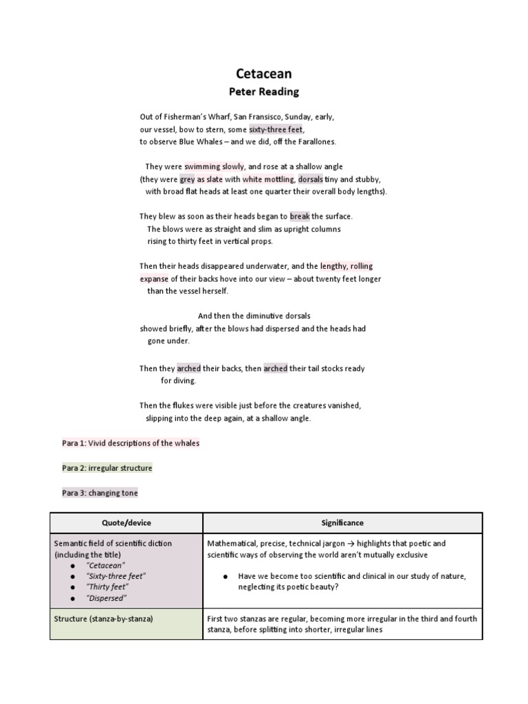 Cetacean, Peter Reading | PDF | Whales | Poetry