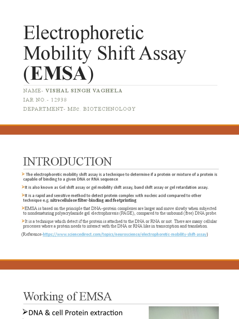 EMSA | PDF