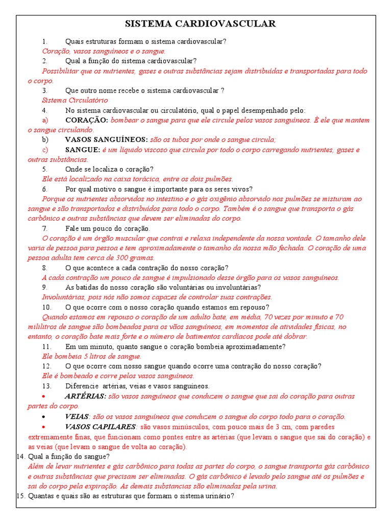 Sistema Cardiovascular | PDF | Sistema circulatório | Coração