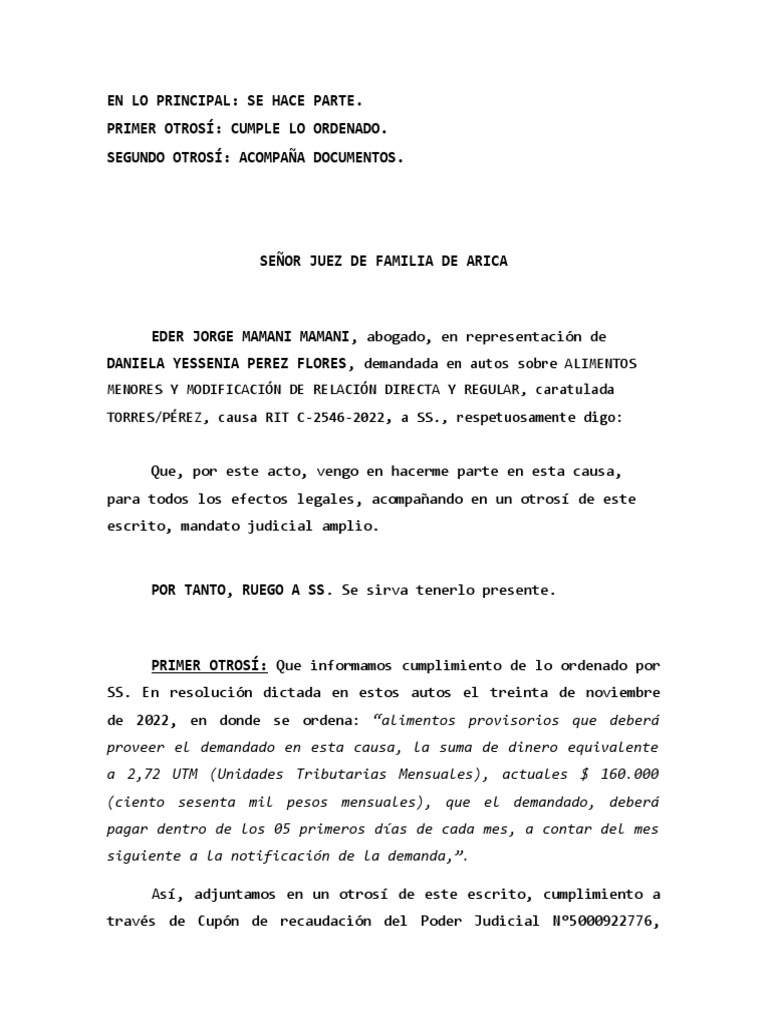 EN LO PRINCIPAL: SE HACE PARTE. PRIMER OTROSÍ: CUMPLE LO ORDENADO. SEGUNDO OTROSÍ: ACOMPAÑA ...