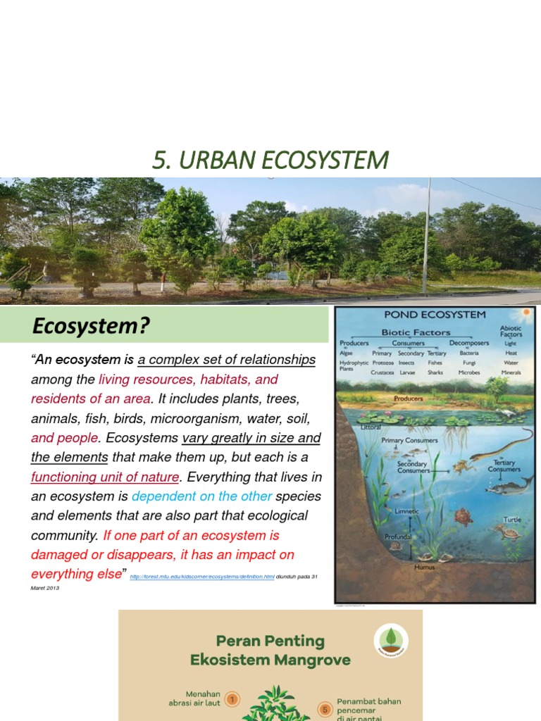5-Urban Ecosystem | PDF