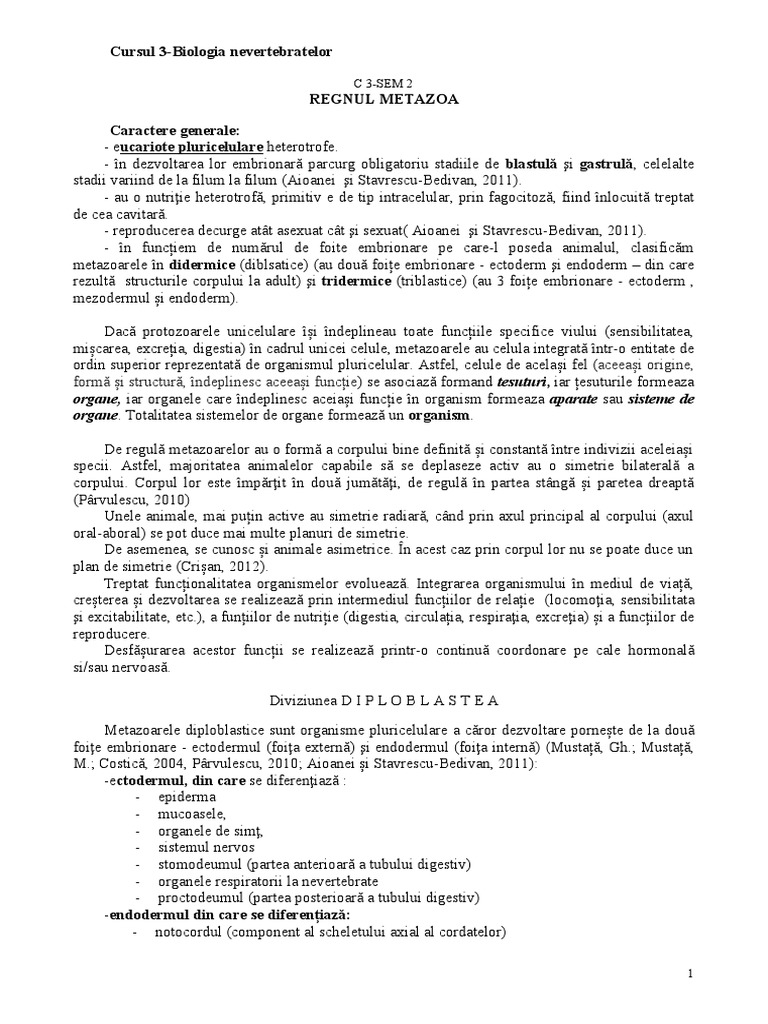 C.3. Spongieri | PDF