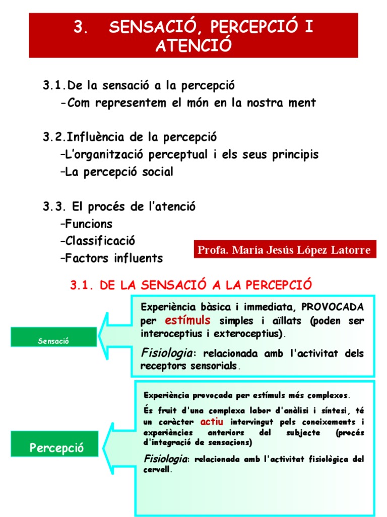 Tema 3 Sensa Perce Val | PDF