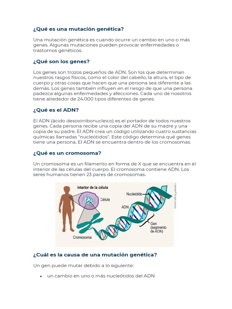 Qué Es Una Mutación Genética | PDF | Mutación | Gene