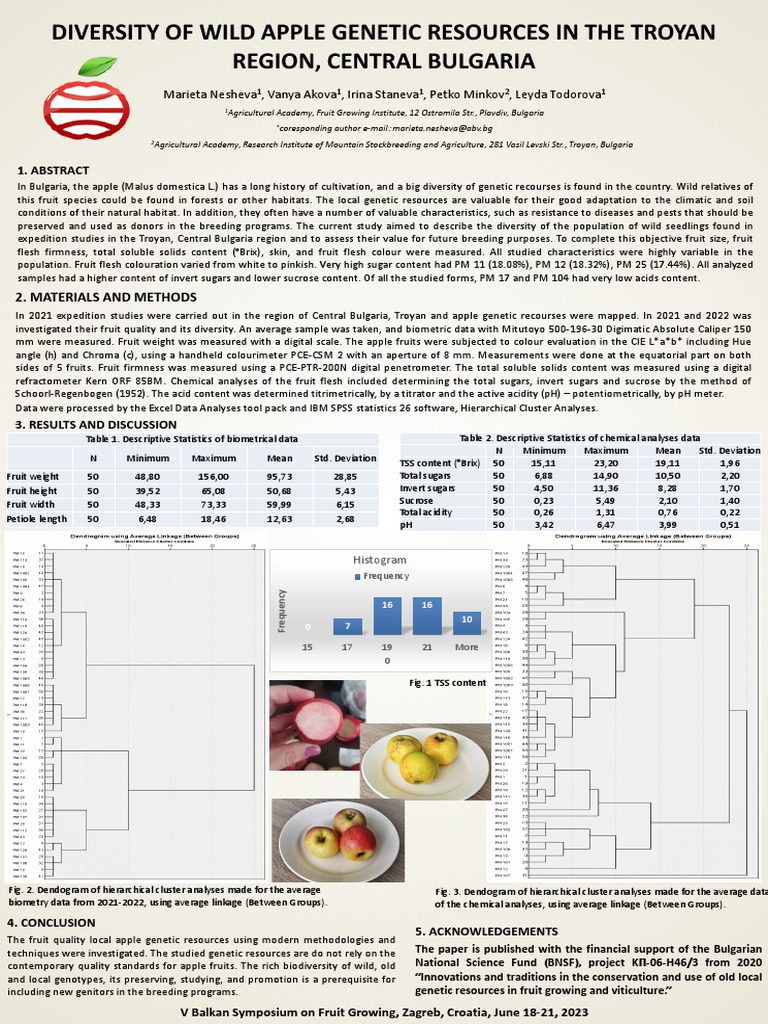 Marieta Nesheva, Vanya Akova, Irina Staneva, Petko Minkov, Leyda Todorova | PDF