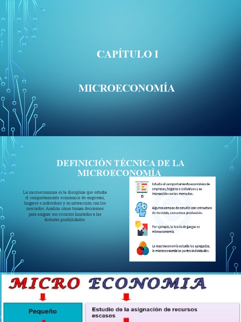 MICROECONOMÍA | PDF | Oferta (economía) | Microeconomía