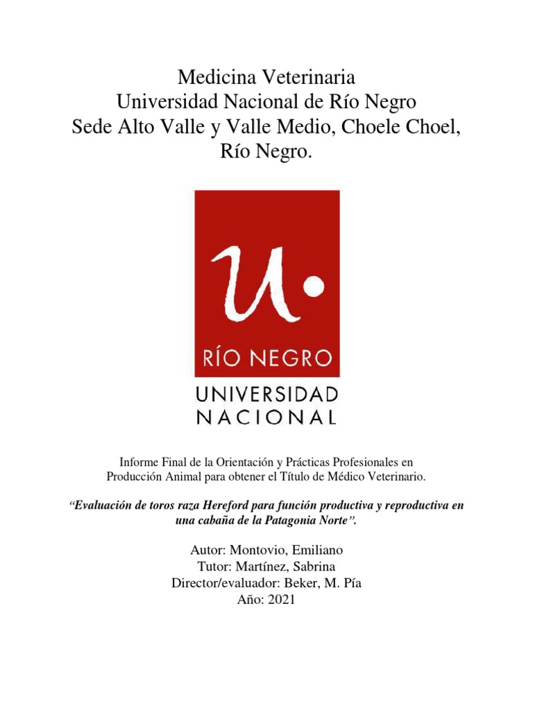 Informe Final Emi | PDF