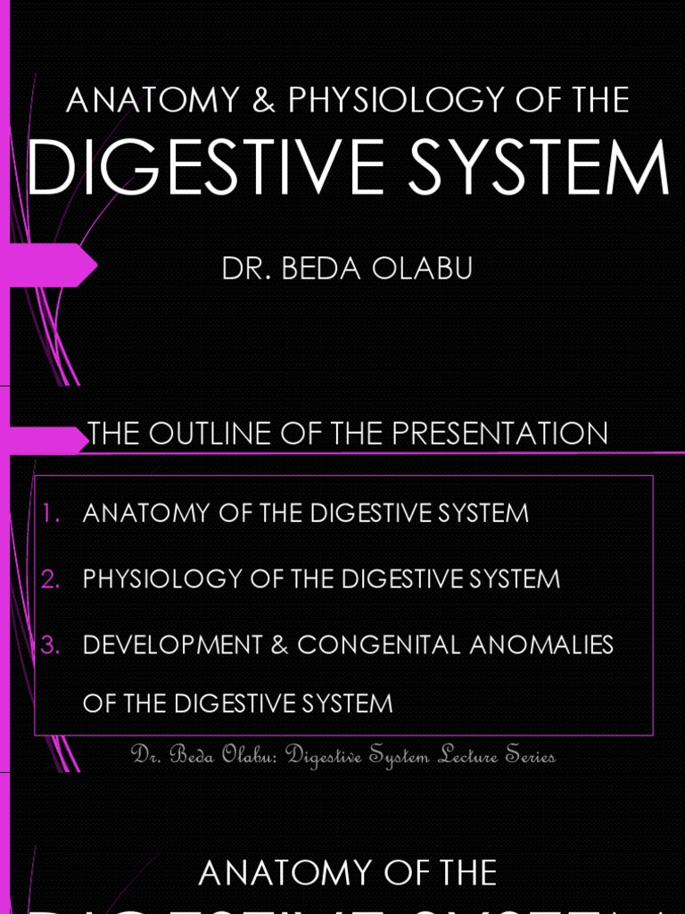 Anatomy & Physiology of the Digestive System | PDF | Stomach | Human ...