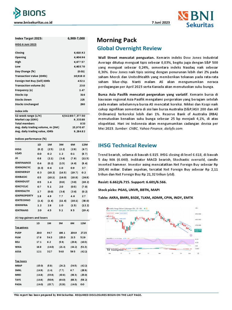 BNIS Retail Report 060723 | PDF