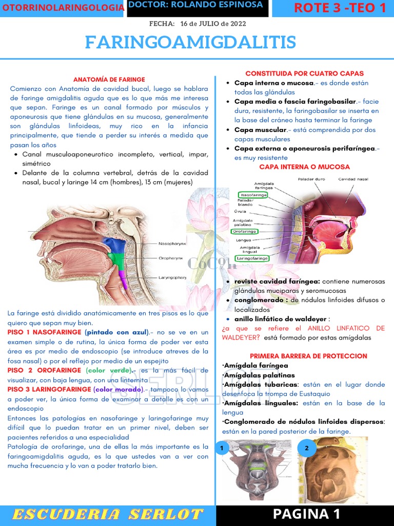 ROTE 3 TEO 1 Faringoamigdalitis | PDF | Especialidades Medicas ...