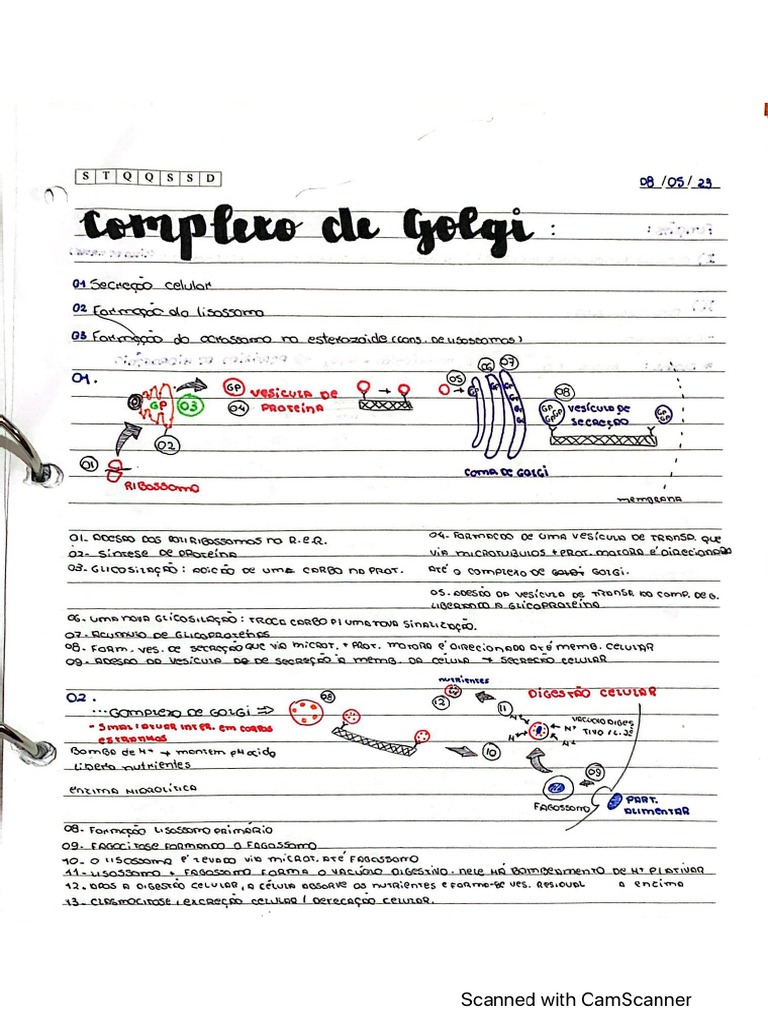 Resumo - Complexo de Golgi | PDF