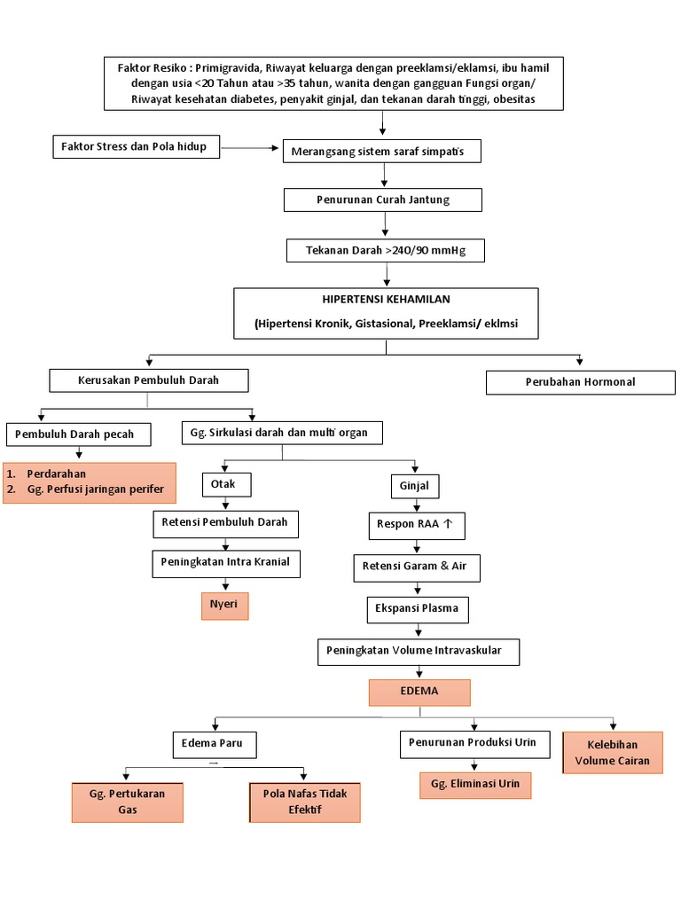 Pathway Ibu Hamil Dengan Hipertensi | PDF