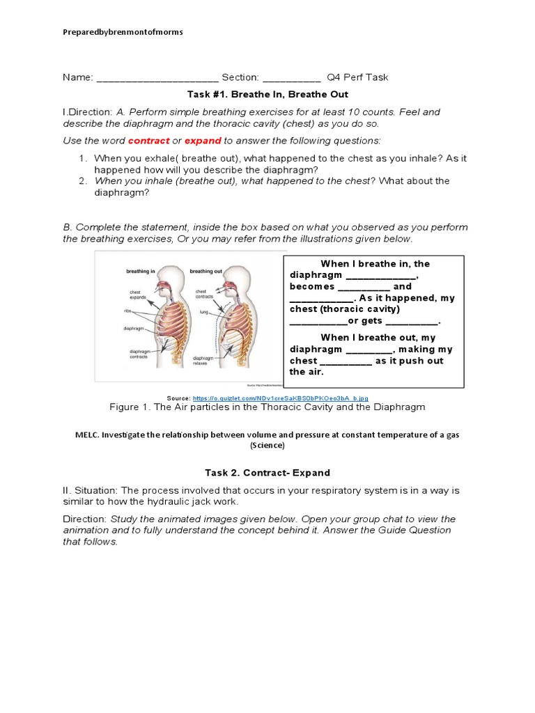 Boyles Law Perf Task in Grade 10 q4 | PDF | Breathing | Gases