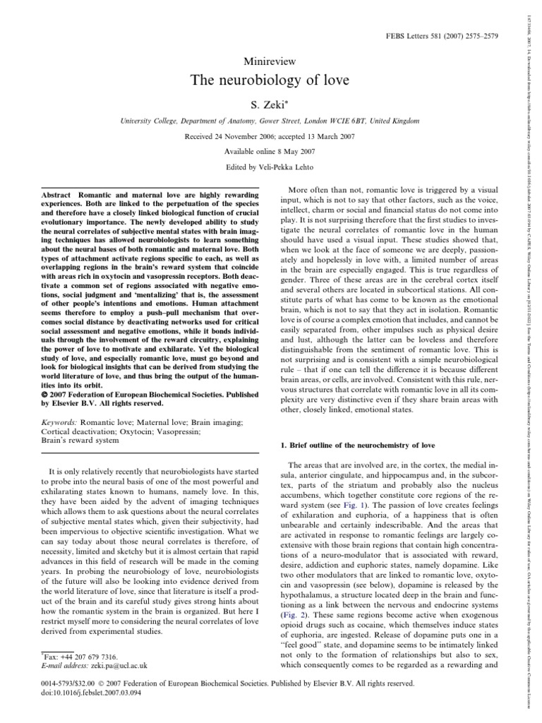 The Neurobiology of Love | PDF